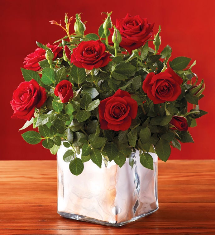 Miniature Rose Plant and Rose Bouquet Delivery | Harry & David