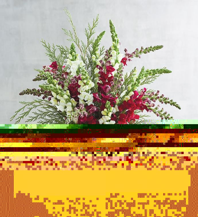 Bouquets: Gerbera Daisy, Orchids, Lilies & More | Harry & David