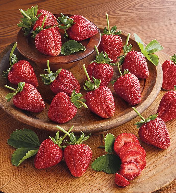 Fruit Basket Delivery | Gourmet Pears & Fruit Gifts | Harry & David