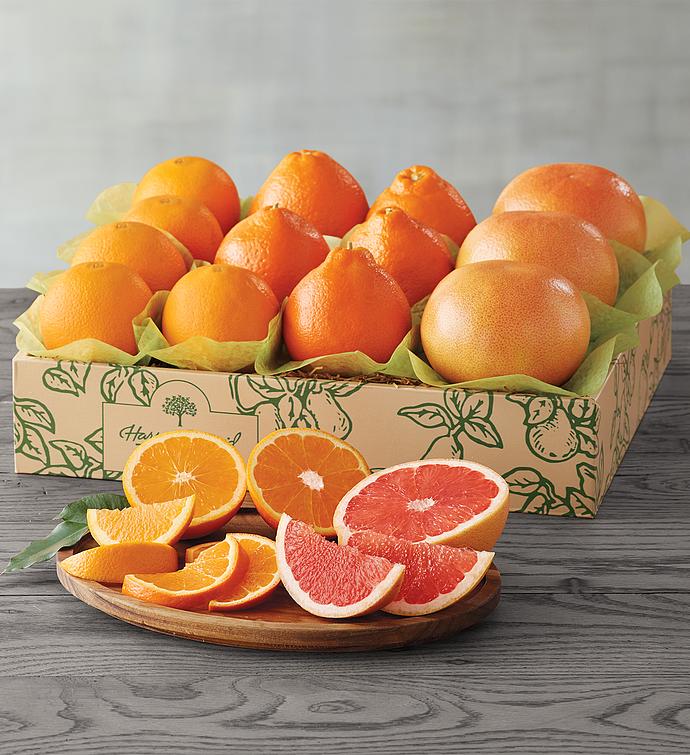 What Is a HoneyBell Orange? | The Table by Harry & David