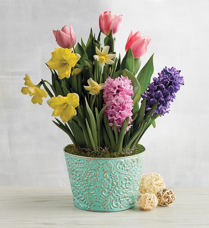 10 Popular Spring Flowers | Petal Talk